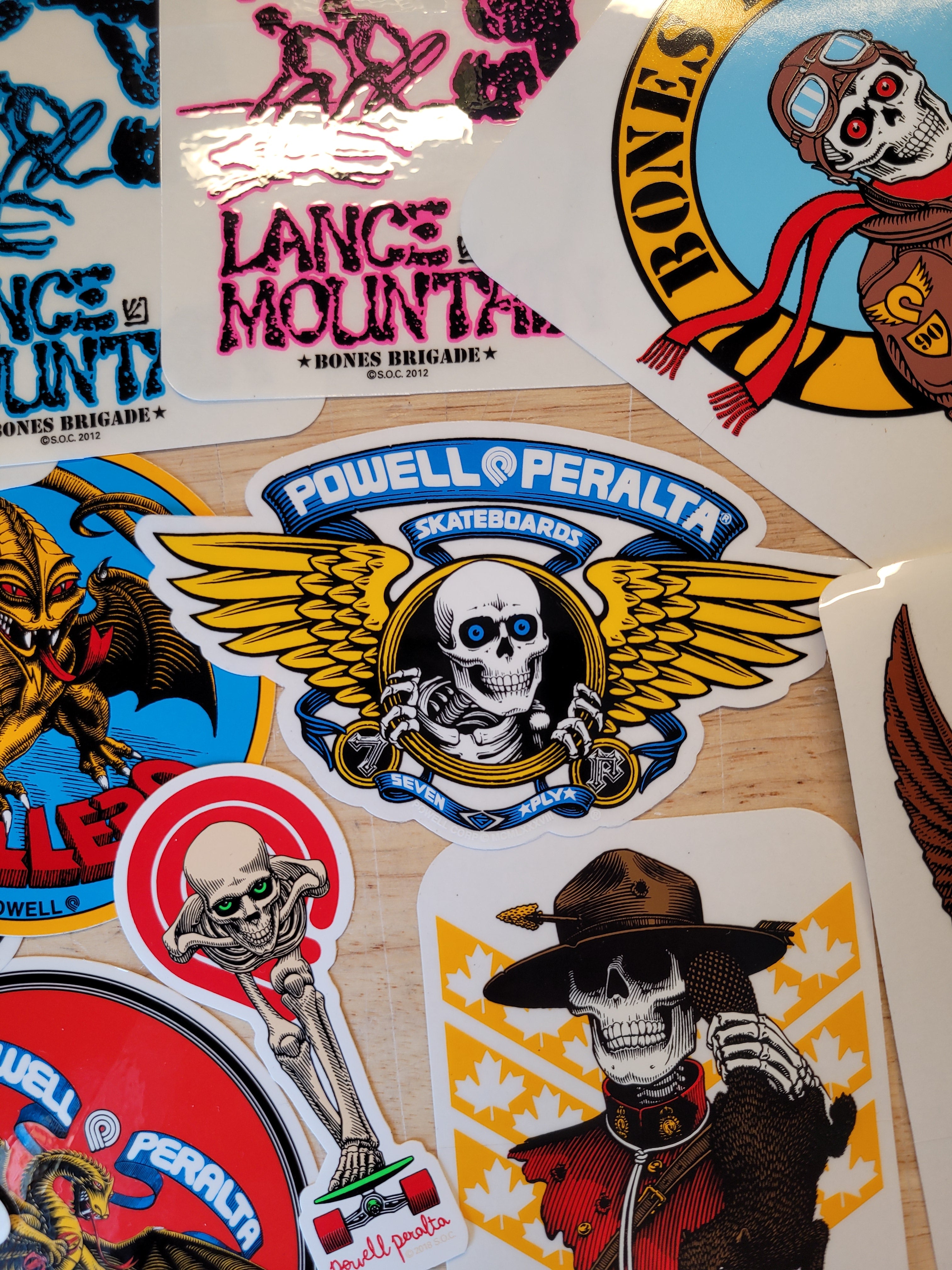 Powell Peralta Skateboards – Grand River Skate Shop